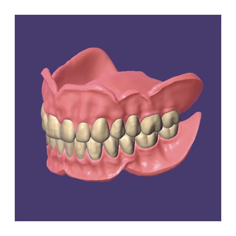 DentalDB Flex-License FullDenture Module, 750,00